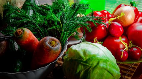 야채 잘 익은 빨간 토마토 달콤한 고추 딜 양파 무 오렌지 당근 오이 흰 양배추 클로즈업 0명에 대한 스톡 사진 및 기타 이미지