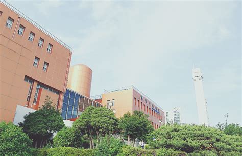 100년 역사의 부산광역시립 시민도서관 네이버 블로그