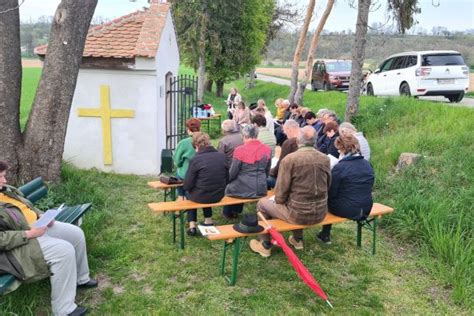 Maria Königin des Friedens Pfarre Absdorf St Mauritus