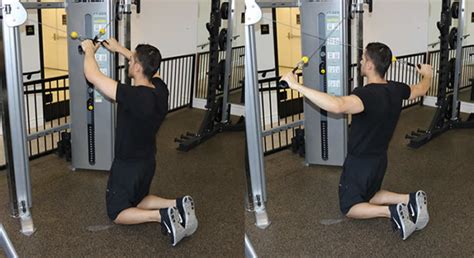 High Reverse Cable Fly From Knees The Optimal You Online Personal