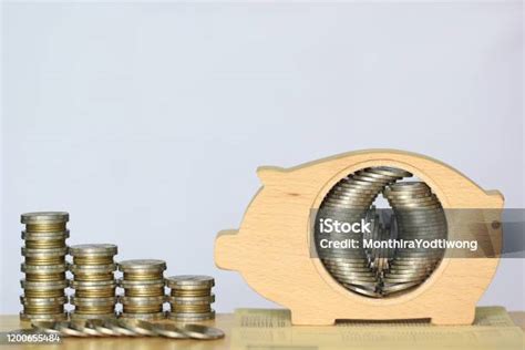 흰색 배경에 돼지 저금통 나무에 동전 돈의 스택 미래와 투자 개념에 대한 준비를위한 돈을 절약 개념에 대한 스톡 사진 및 기타 이미지 Istock