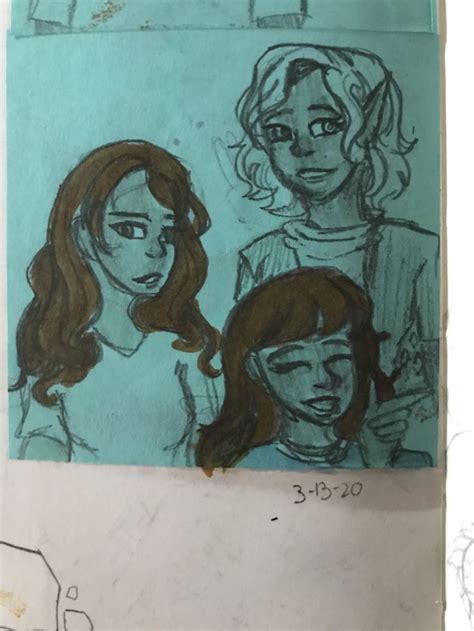 Willow Ash And Amber Sketches Rangers Apprentice Art