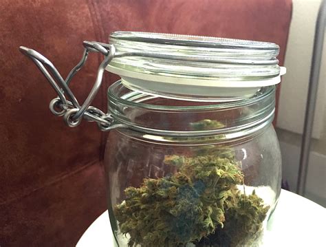 Drying And Curing Cannabis Preserving Your Weeds Taste