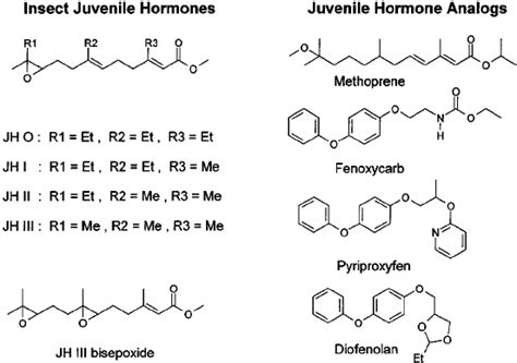 Chemical Structures Of The Juvenile Hormones Terpenoidal Methoprene