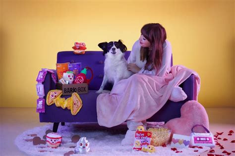 Barkbox What Is Barkboxbenefits Of Barkbox Barkbox Features Advantages Its Pros And Cons