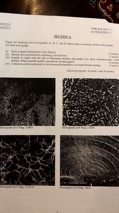 Figure Q1 Illustrates Four Micrographs A B C And Chegg
