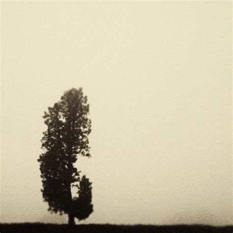 Photography By Matthias Heiderich Landscape Architecture Platform Landezine