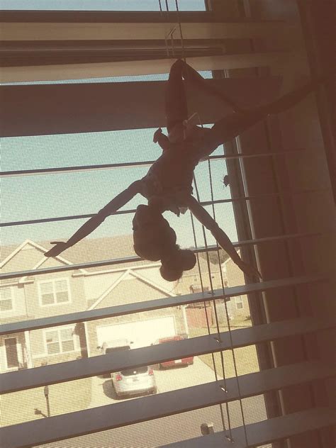 Teresa Wiki Barbie Amino