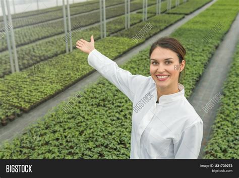 Seedlings Production Image Photo Free Trial Bigstock