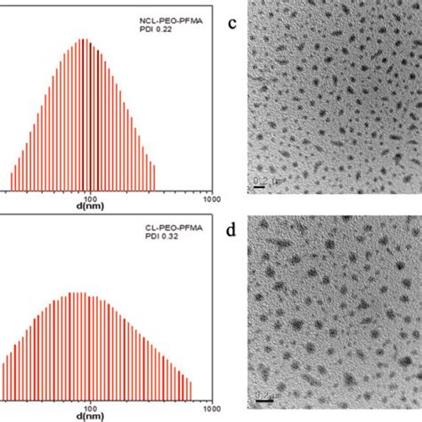 Illustration Of A Synthesis Of Janus Type Pamam Amphiphiles Download Scientific Diagram
