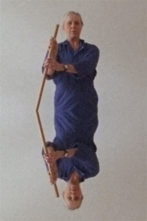 Time Reversal Symmetry Criticless