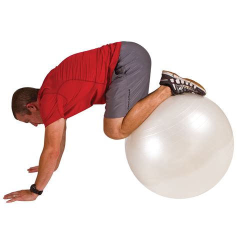 Gofit Exercise Ball With Pump 65cm