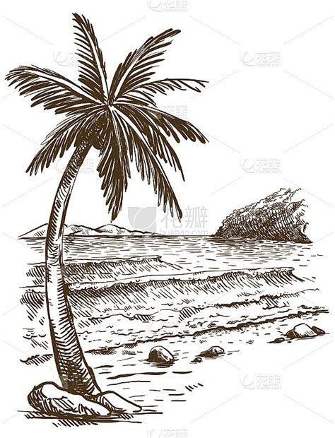 海滩和棕榈树夏天的时间