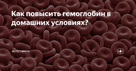 Как повысить гемоглобин в домашних условиях? | Из уст врача | Дзен