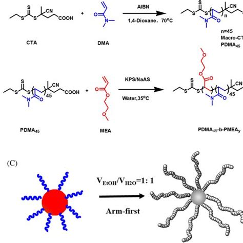 A Synthesis Of Macro‐cta Pdma45 B Raft Aqueous Dispersion Download Scientific Diagram