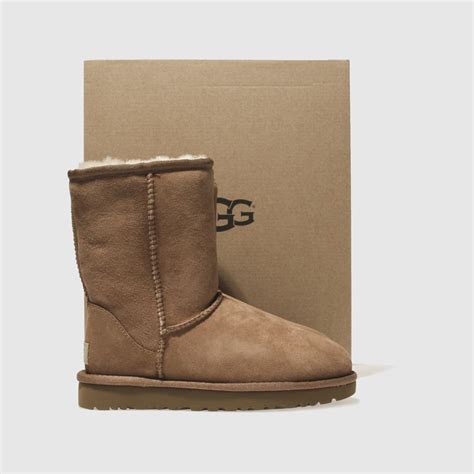Womens Chestnut Ugg Classic Short Ii Boots Schuh