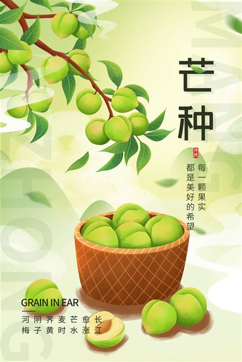 芒种广告设计素材 芒种广告设计模板 芒种广告设计图片免费下载 设图网