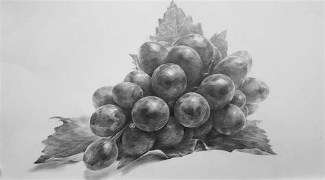 포도소묘 전주굿디자인 디자인소묘 그림 드로잉 유화