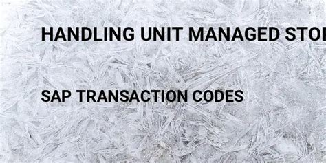 Handling Unit Managed Storage Location Sap Tcode In Sap Transaction