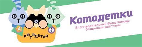 Kotodetki Мы Фонд Kotodetki Наш фонд системно помогает приютам для