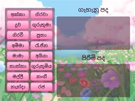නාම පද Group Sort
