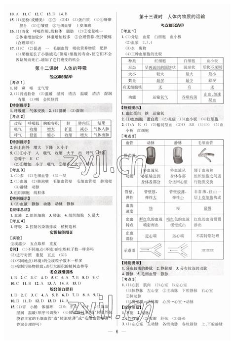 2023年中考对策生物泰安专版答案——青夏教育精英家教网——