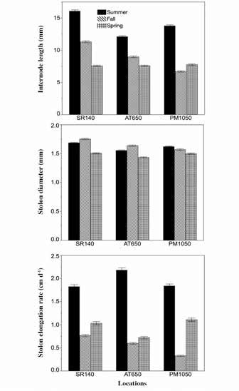 Internode Length Stolon Diameter And Stolon Elongation Rate Evaluated Download Scientific