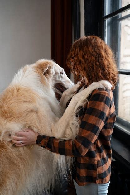 Cat Dog Hug Images Free Download On Freepik