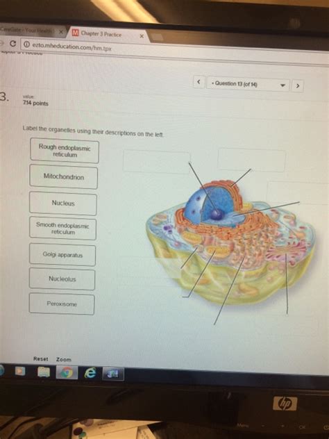 Solved Label The Organelles Using Their Descriptions On The Chegg