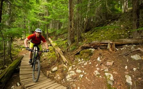 At What Age Can You Start Mountain Biking Read This First OutdoorSpree
