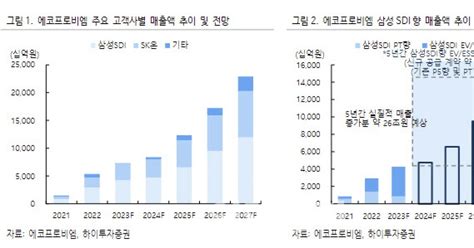 에코프로비엠 439兆 수주에도 실적 전망 유지 하이