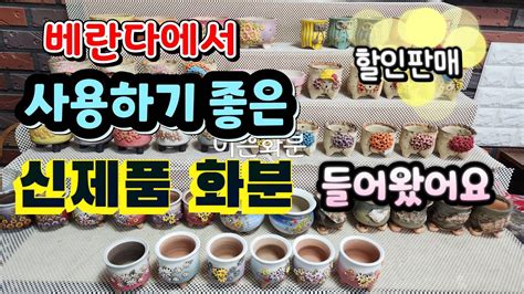 5월 31일 신상화분 할인판매 Youtube