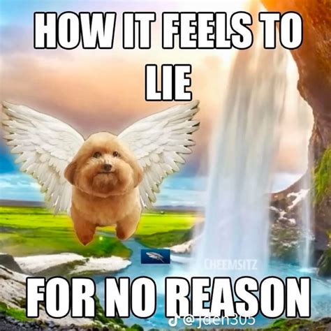 Jenna 🖤 At Work Thinking About The Cholula Hot Sauce Ill Be Putting