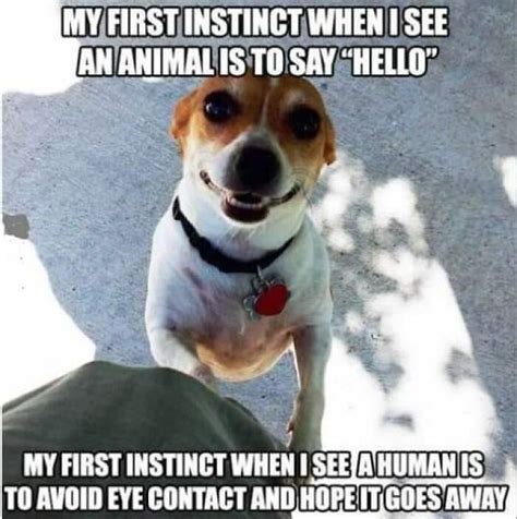 50 Introvert Memes By This Instagram Page Dedicated To Those Who Want