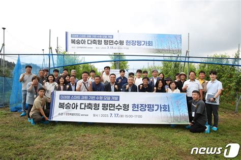 강원농업기술원 미래형 복숭아 현장평가회‘기존 보다 생산량 증가 뉴스1