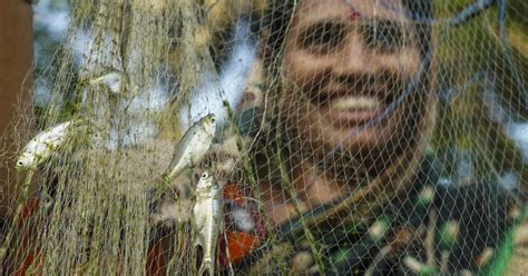 Gender Research Tools Help Design Cgiar Projects For Nutrition Outcomes