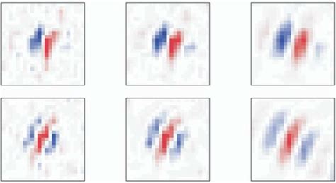 Significant Eigenvectors Of A Complex Cell In The Cat Primary Visual