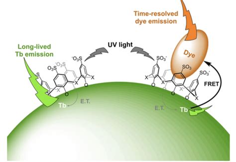Amerigo Cordouan Technologies