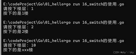 go学习：go语言中if、switch、for语句与其他编程语言中相应语句的格式区别 go if csdn博客