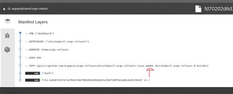 Kubectl Argo Rollouts Arm64 Docker Image Not Working Dashboard