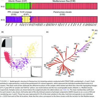 Trophic Niche Cluster Dendrogram Based On Binary Distances For The