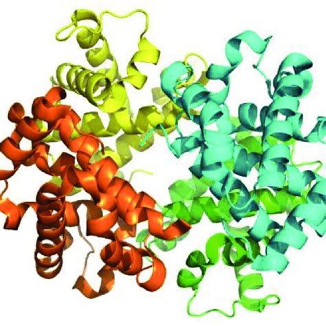 Structure Of Hemoglobin Download Scientific Diagram