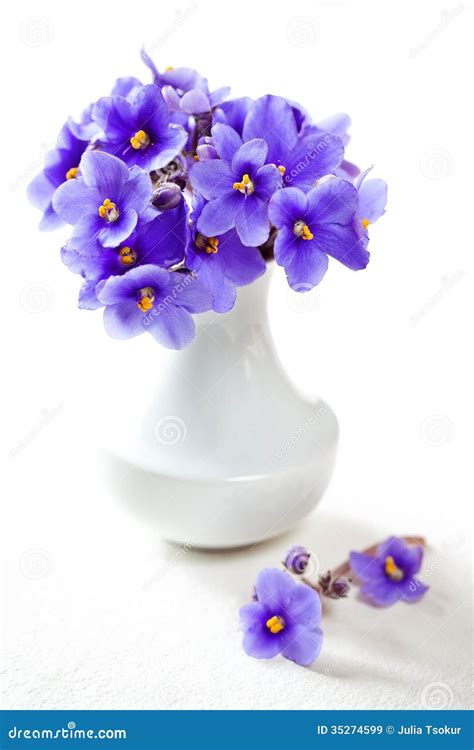 Cute Violet Flowers Stock Image Image Of Flower Mothers 35274599