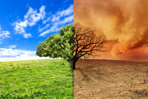 Climate Change Induced Alterations In Weather Resulting In Warmer
