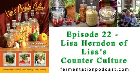 Episode 22 Lisa Herndon Of Lisas Counter Culture The Fermentation Podcast