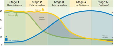 Demographic Transition Model Diagram Demographic Transition