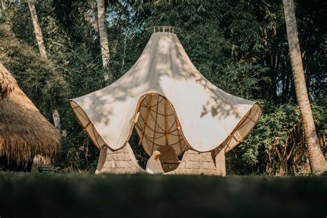 The 3 Ways To Create Amazing Curved Structures Using Bamboo Bamboo U