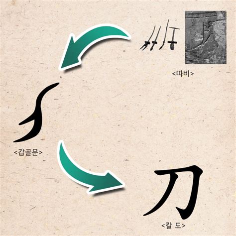 문명도슨트 한자 개정판 출간갑골문을 풀어보면 한자를 알 수 있다
