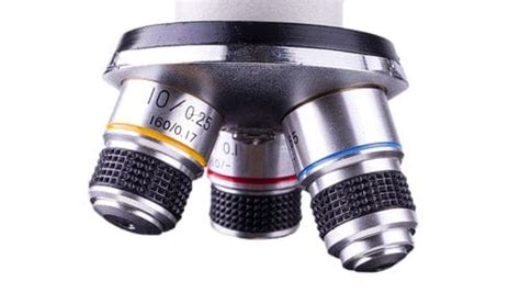 Understanding The Different Types Of Microscope Objective Lenses Amscope