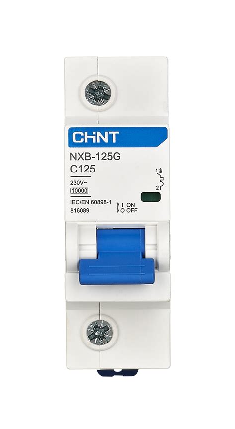 NXB 125G Miniature Circuit Breaker CHINT Global